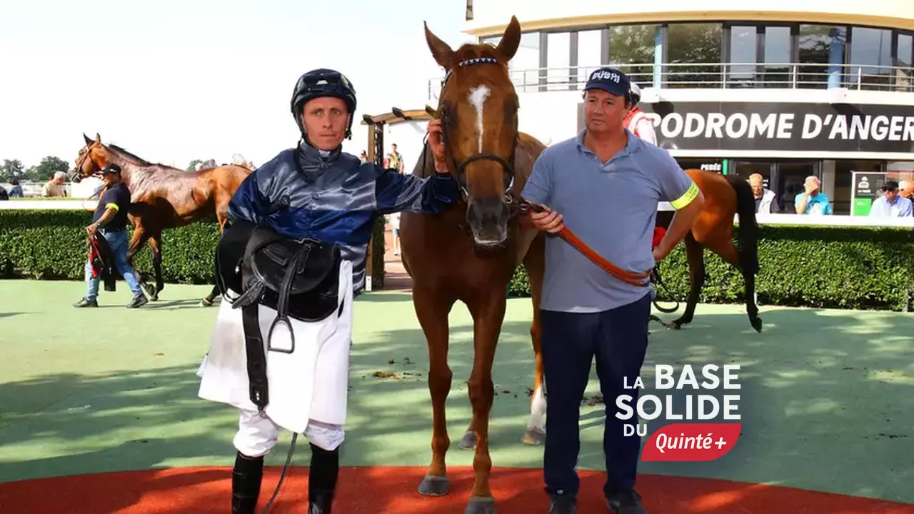 Quinté+: O Trasno, la base solide du Quinté+ de ce mardi 7 novembre ...