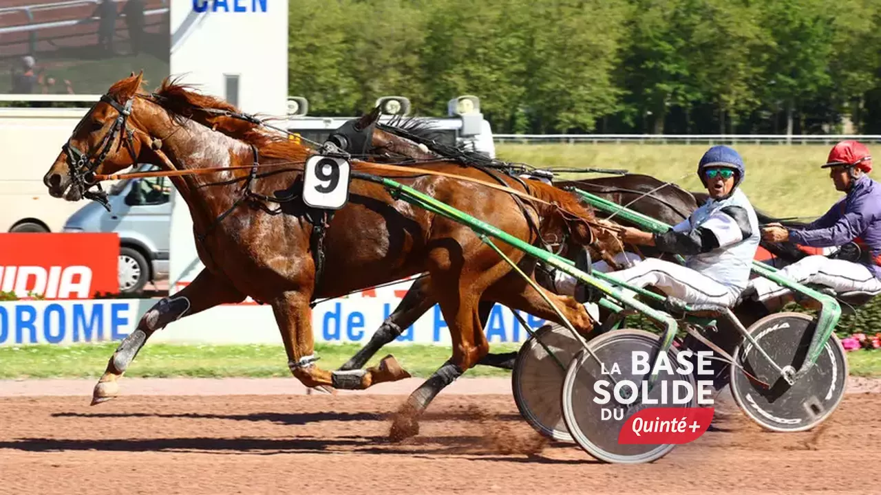 Quinté+: Igrisoni, la base solide du Quinté+ de ce mardi 28 janvier ...