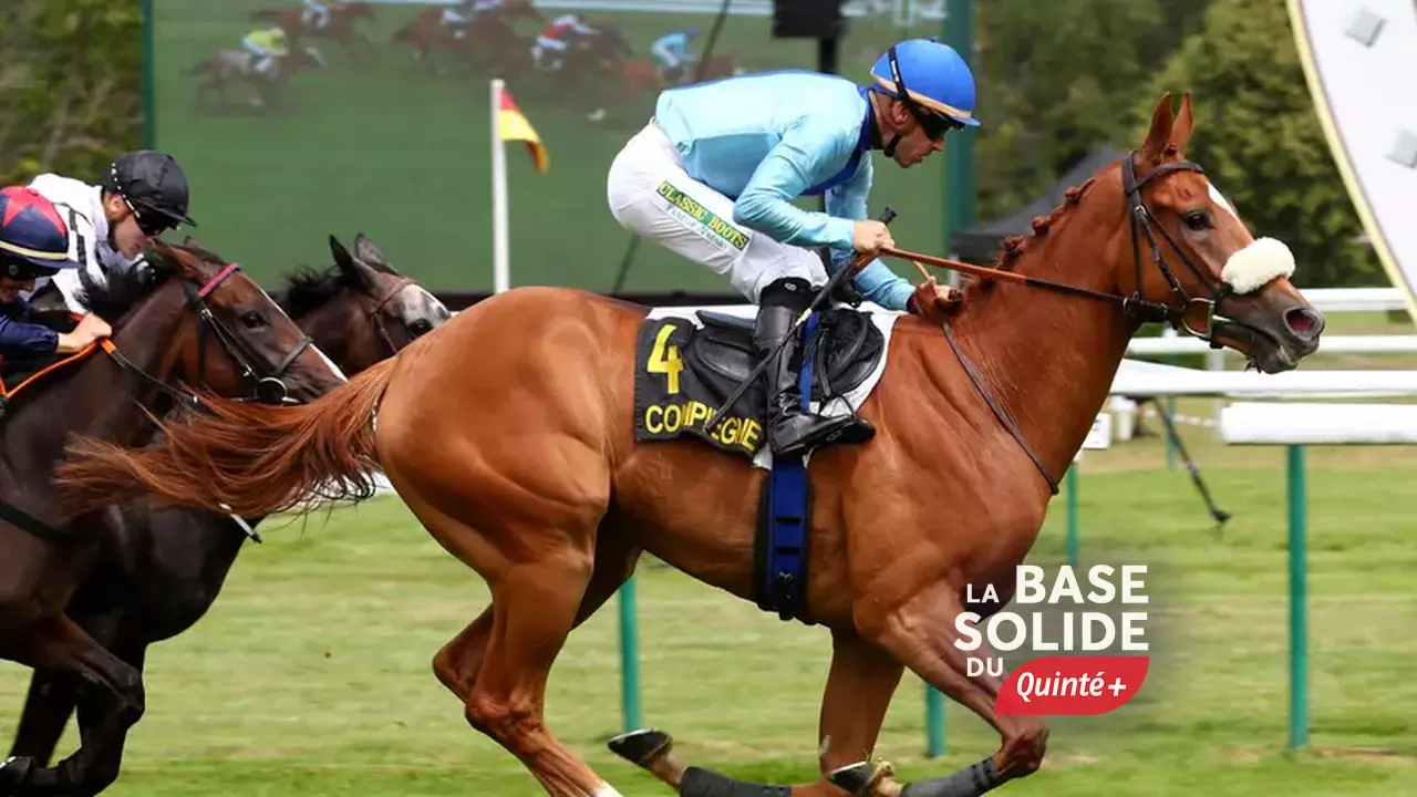 Quinté+: Marelie, la base solide du Quinté+ de ce lundi 18 septembre ...