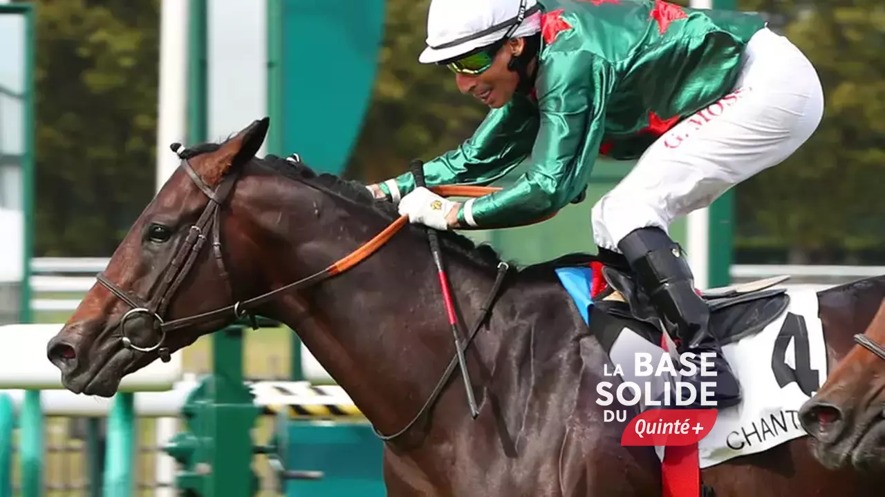 Quinté+: Cosmo Beau, la base solide du mardi 21 novembre à Chantilly ...