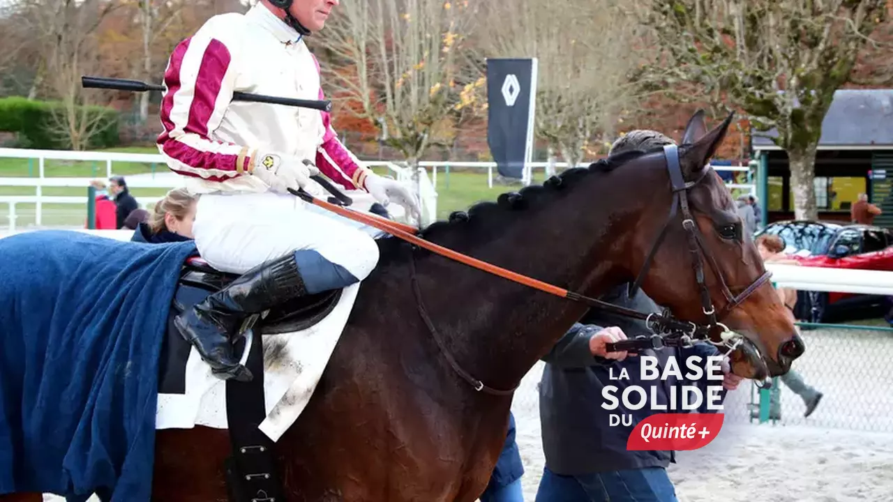 Quinté+: Winterland, la base solide du Quinté+ de ce mardi 26 mars ...