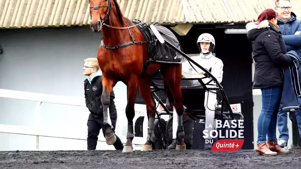 Quinté+: Hardi Crown, la base solide du Quinté+ du samedi 4 janvier ...
