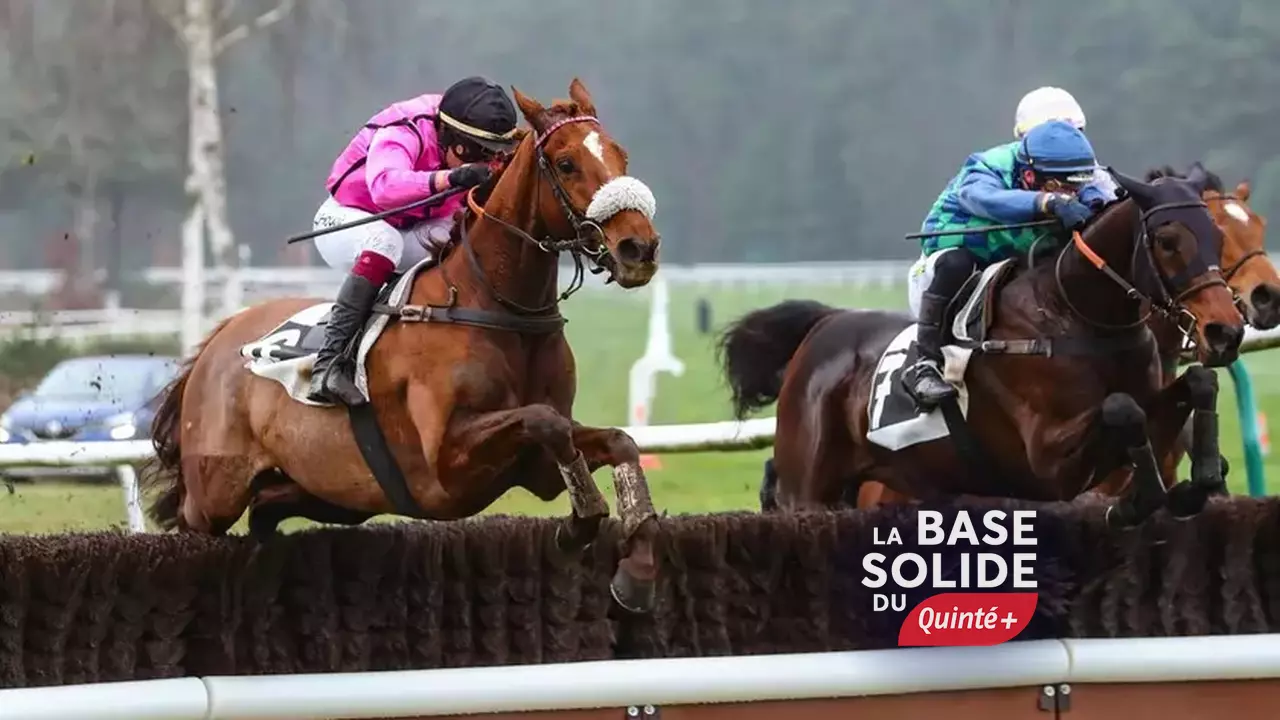 Quinté+: Happy Harry, la base solide du Quinté+ de ce samedi 19 octobre ...