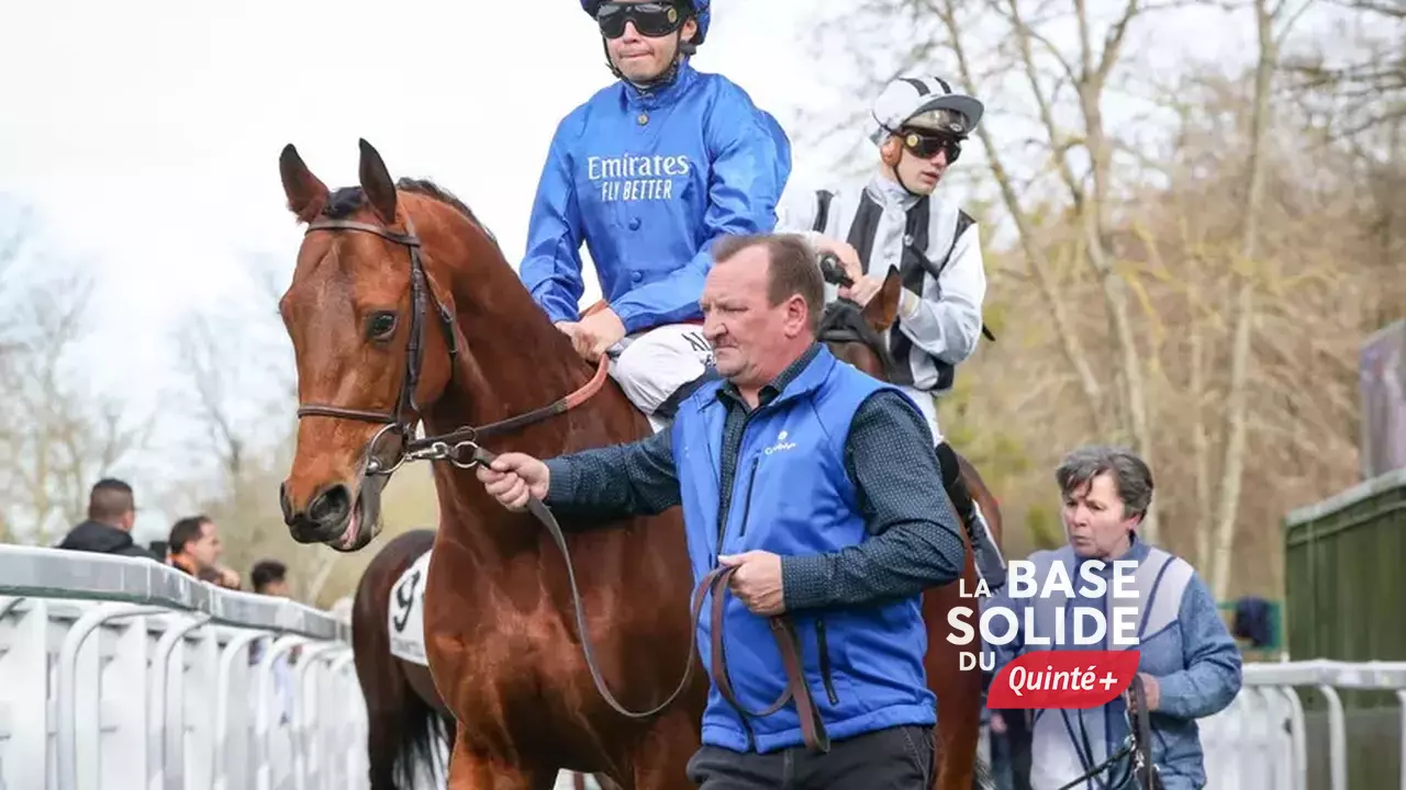 Quinté+: Hamlet's Night, la base solide du Quinté+ de ce dimanche 26 ...