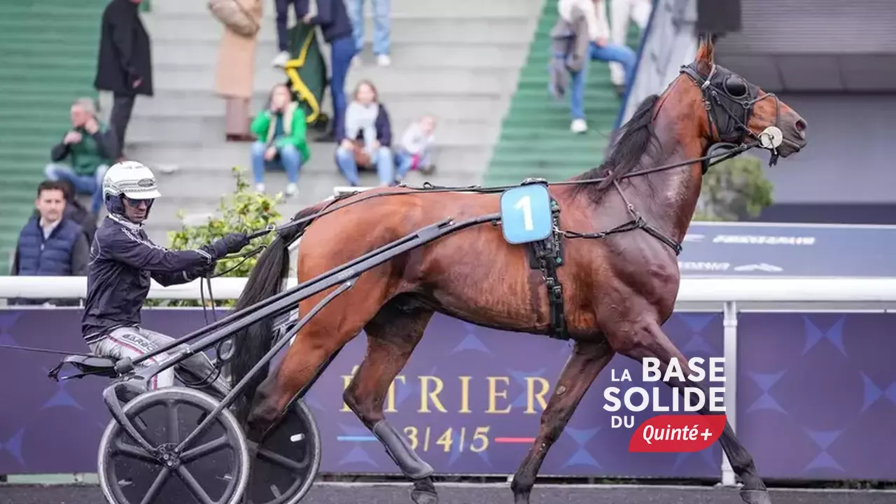 Quinté+: Hardi Crown, la base solide du Quinté+ de ce vendredi 9 août à ...