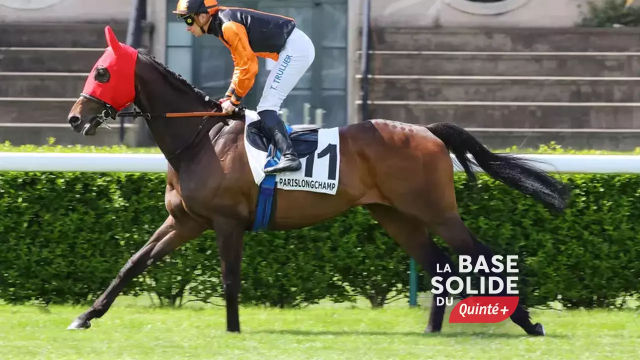 Quinté+: Tumbler, la base solide du Quinté+ de ce mardi 4 juin à Saint ...