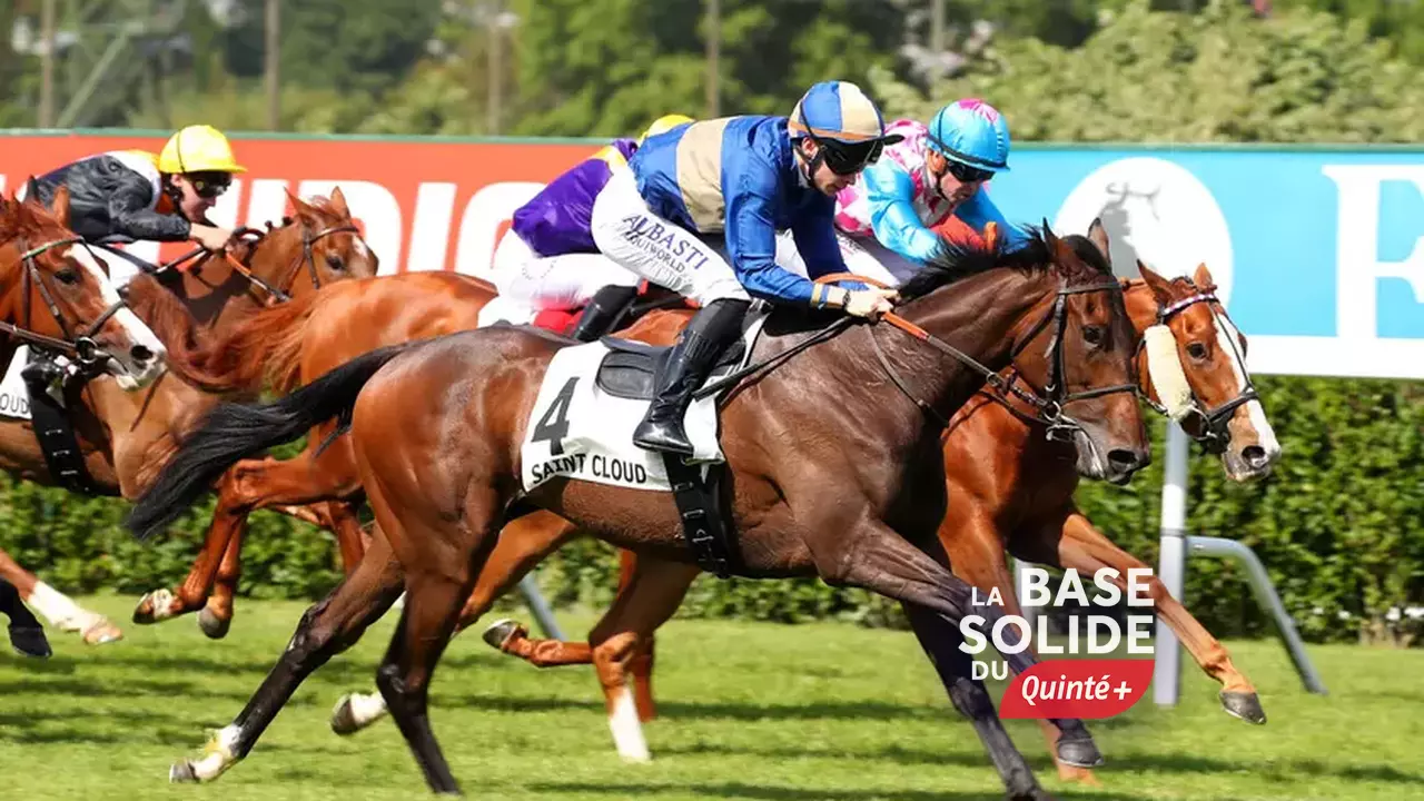 Quinté Star Of The Night La Base Solide Du Quinté Du Jeudi 20 Juin