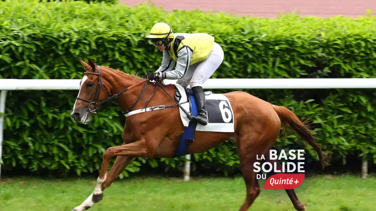 Quinté Djhansy La Base Solide Du Quinté Du Mardi 22 Octobre à