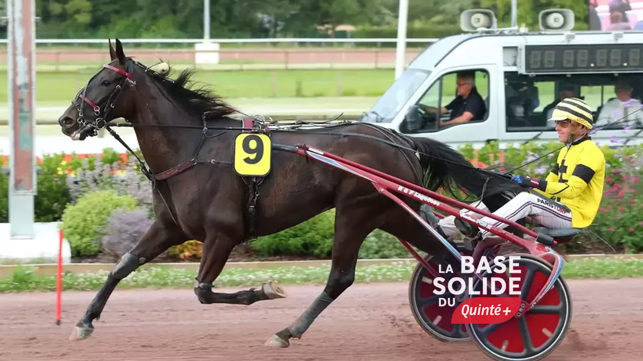 Quinté+: Hoche, la base solide du Quinté+ de ce vendredi 2 août | Equidia