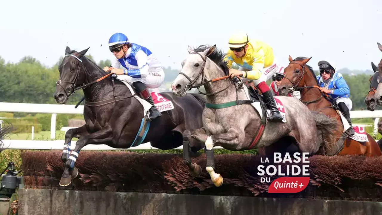 Quinté+: Isis d'Inor, la base solide du Quinté+ de ce mardi 24 ...