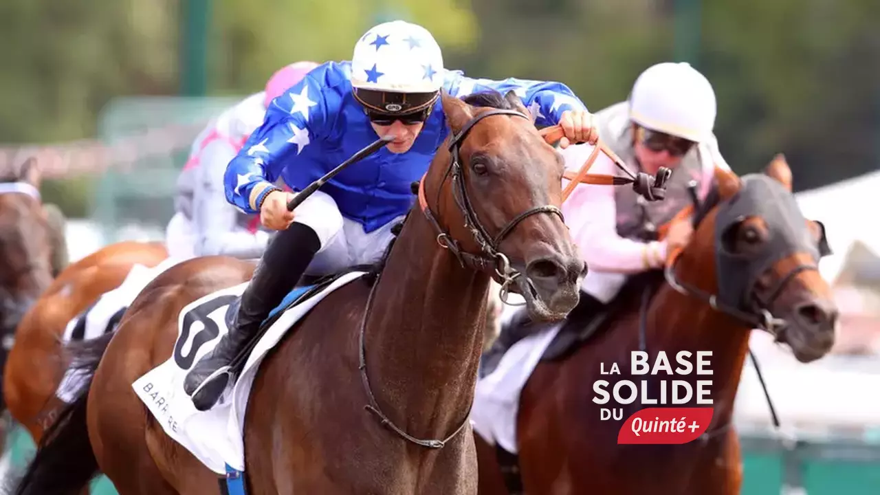 Quinté+: Tumbler, la base solide du Quinté+ du lundi 20 janvier | Equidia