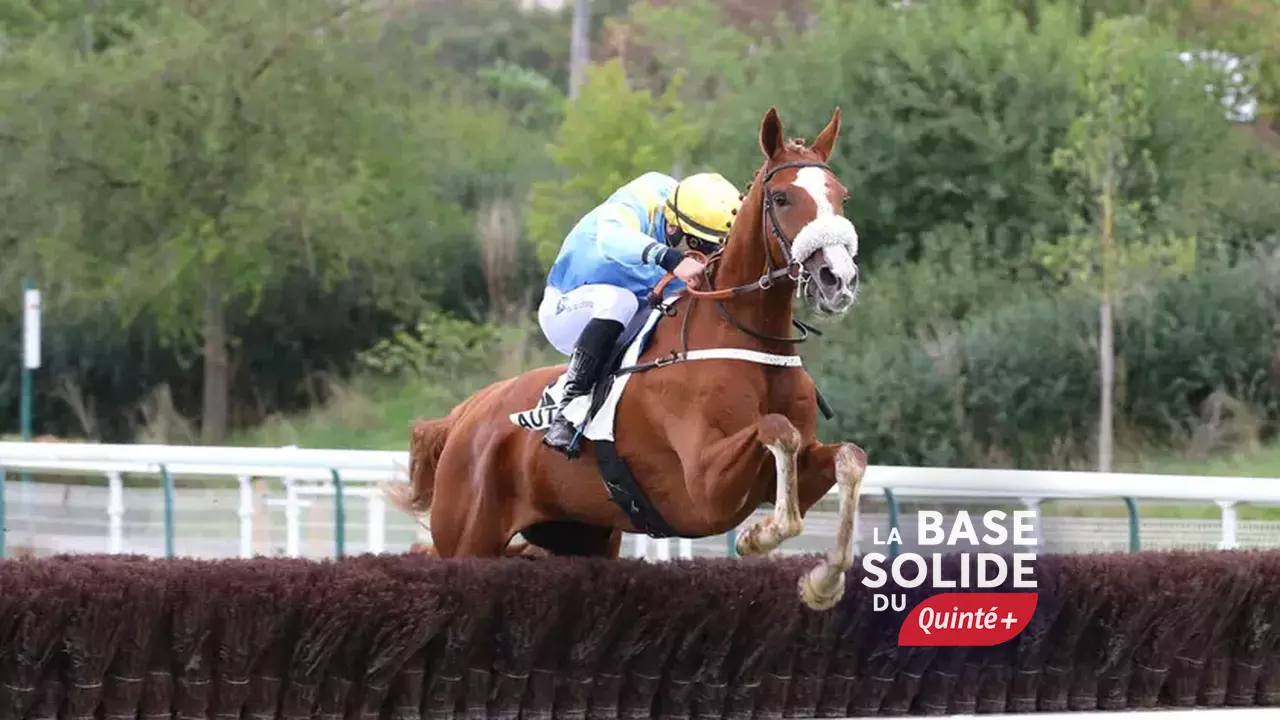 Quinté+: Indivis, la base solide du Quinté+ du jeudi 24 octobre | Equidia