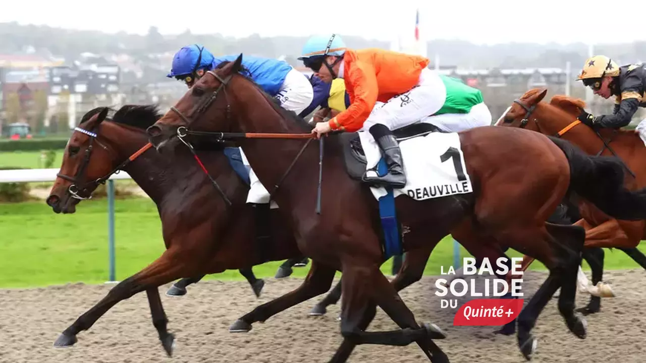 Quinté+: Watch Him, la base solide du Quinté+ du mardi 3 décembre | Equidia