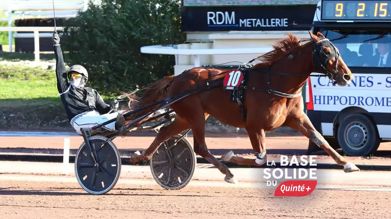 Quinté+: Gino Viva, la base solide du Quinté+ du jeudi 13 février à Cagnes-sur-Mer | Equidia