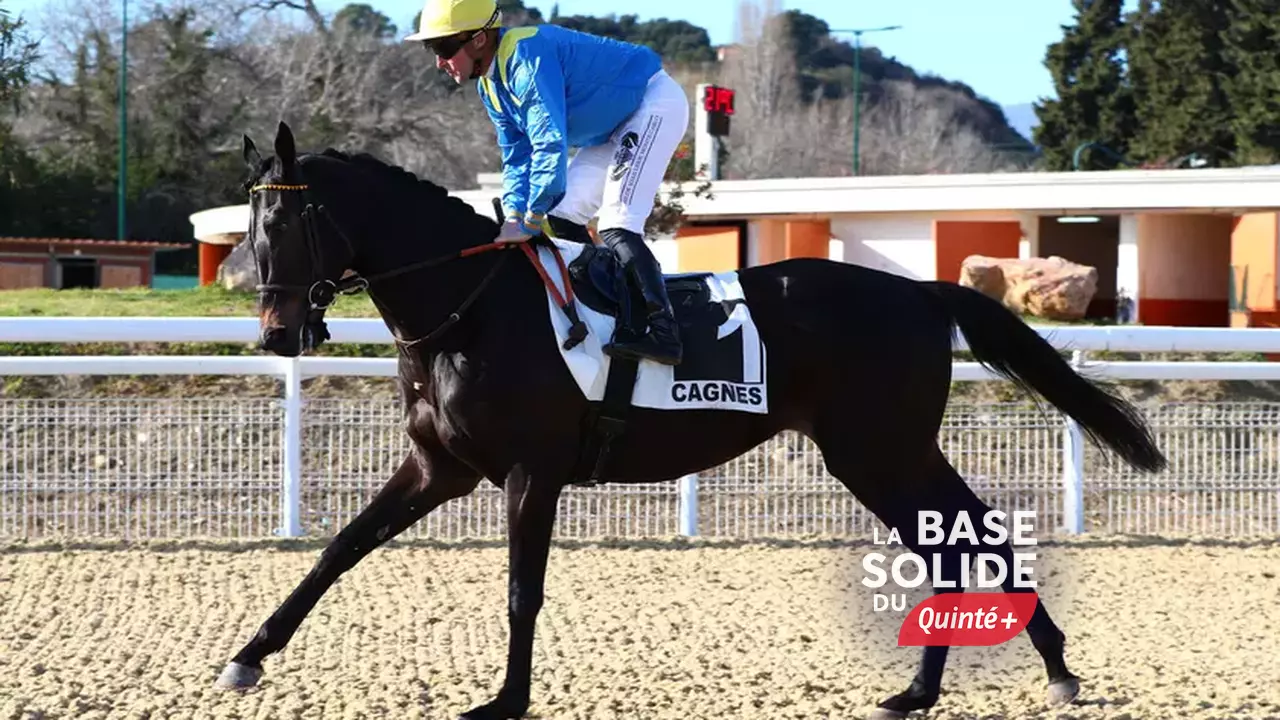 Quinté+: American Flag, la base solide du Quinté+ de ce lundi 10 ...