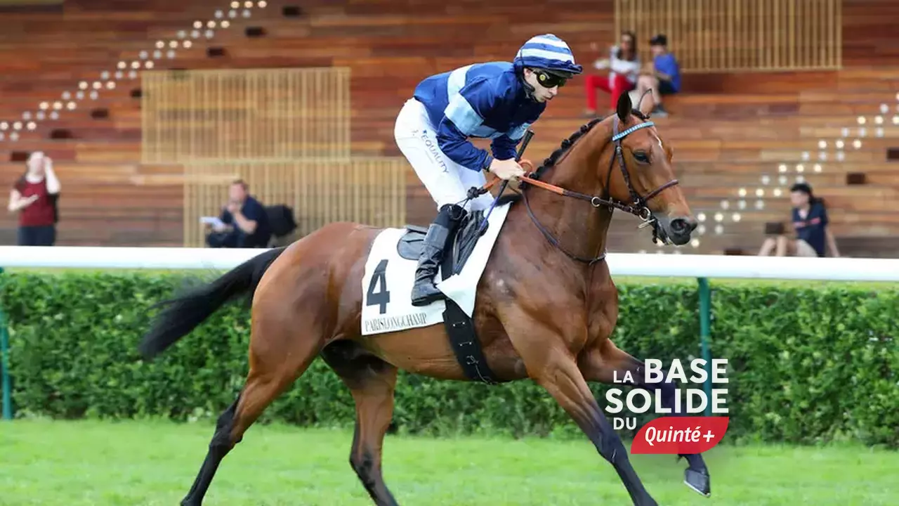 Quinté+: Centrical, la base solide du Quinté de ce mardi 21 mai | Equidia