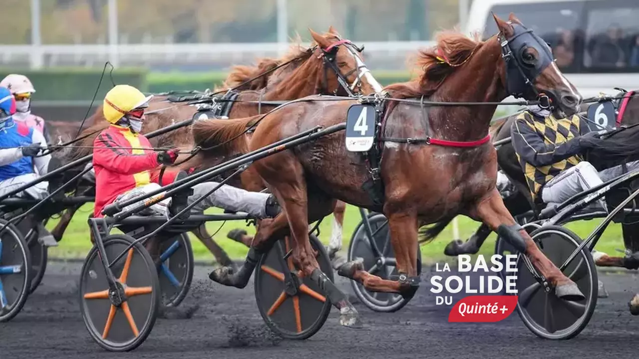 Quinté+: Josh Power, la base solide du Quinté+ ce dimanche 8 décembre à ...