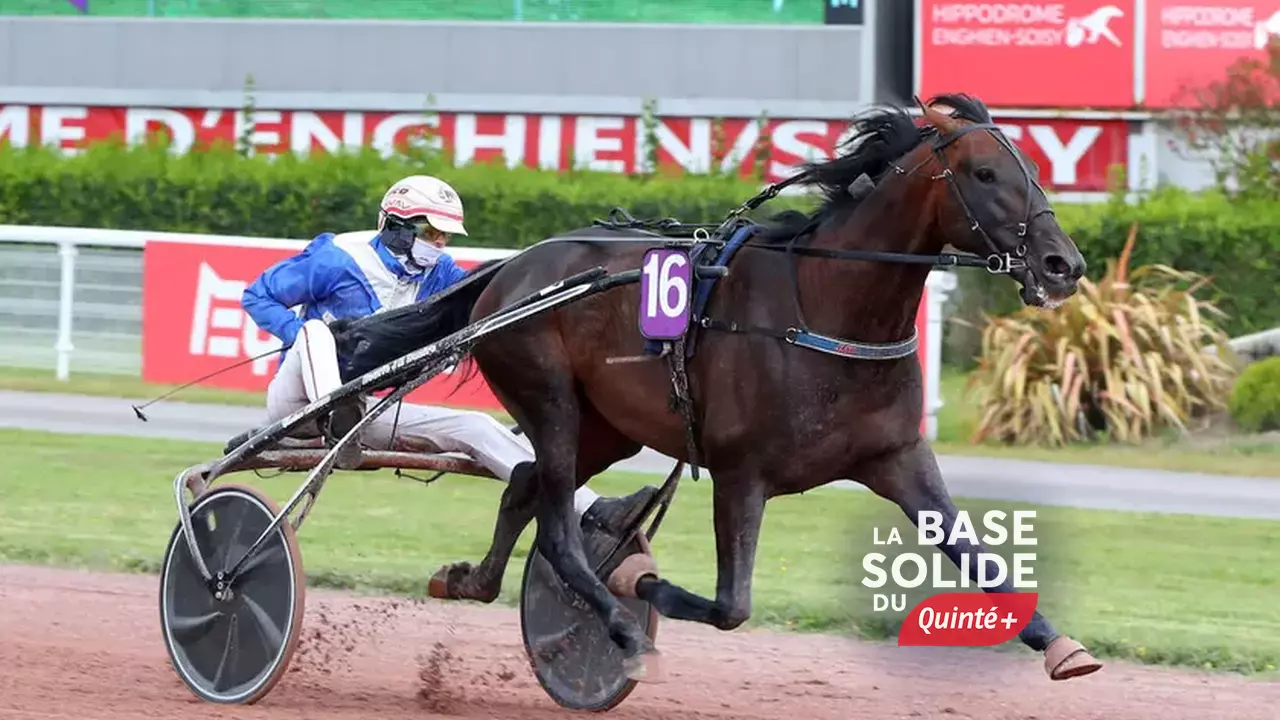 Quinté+: Hede Darling, la base solide du Quinté+ de ce mercredi 22 janvier à Cagnes-sur-Mer ...