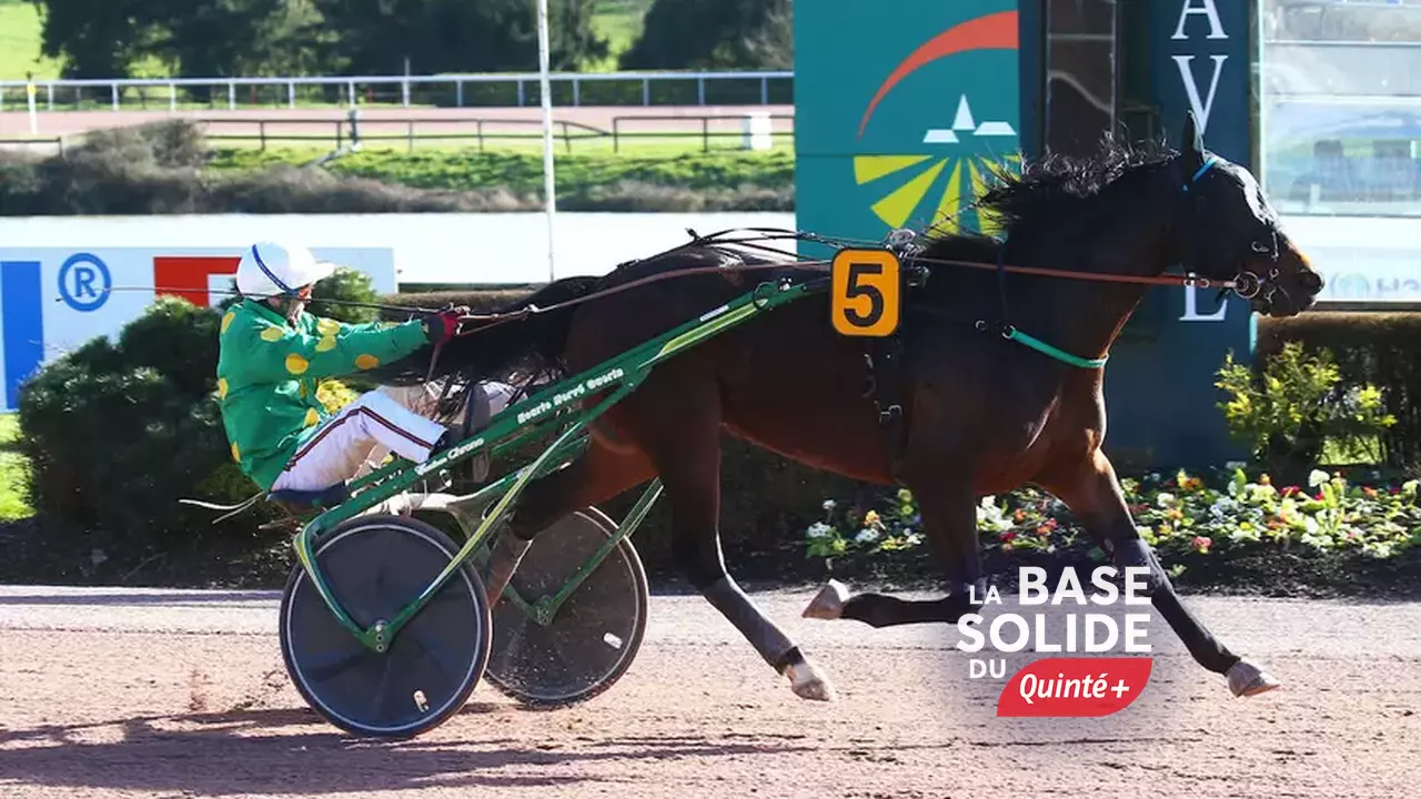 Quinté+: Idylle Express, la base solide du Quinté+ de ce jeudi 27 février à Cagnes-sur-Mer | Equidia