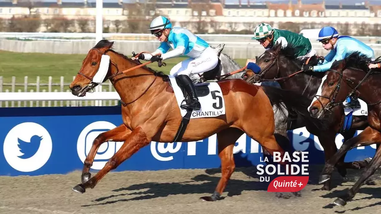 Raysteve, la base solide du Quinté de ce lundi 25 mars | Equidia