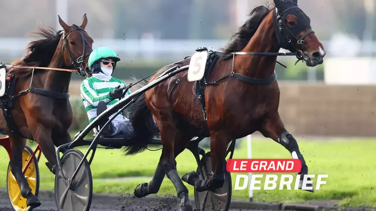 Le Grand Débrief : Jushua Tree a-t-il été convaincant ? | Equidia