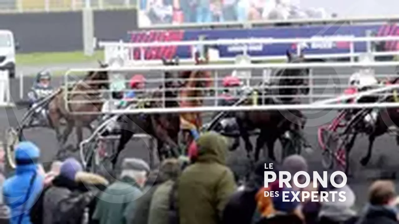 Les 3 Tuyaux Du Quinté De Ce Mardi 19 Décembre Equidia