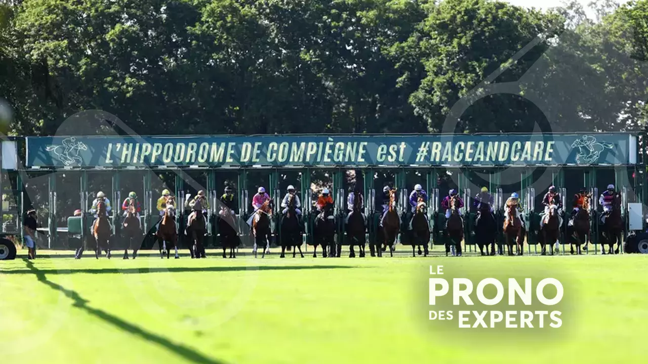 Les pronostics des experts pour la réunion 1 à COMPIEGNE ce mardi 19 mars | Equidia