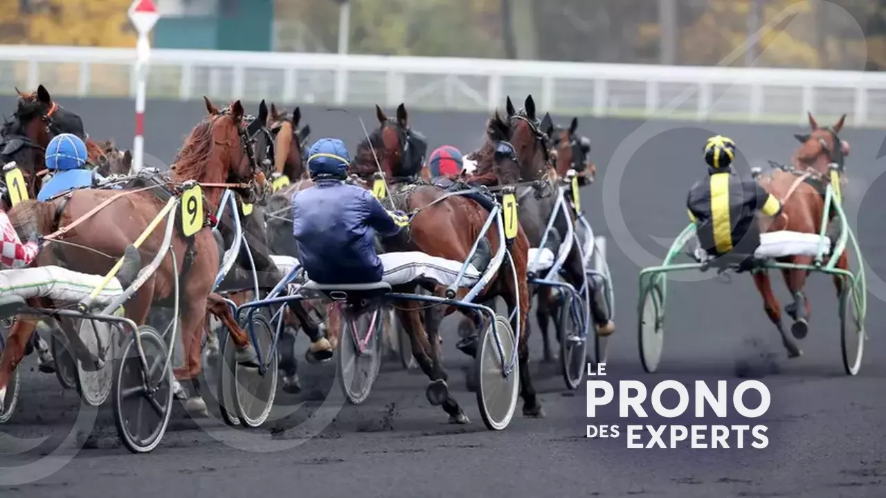 Les Pronostics Des Experts Pour La Réunion 1 à Paris Vincennes Ce