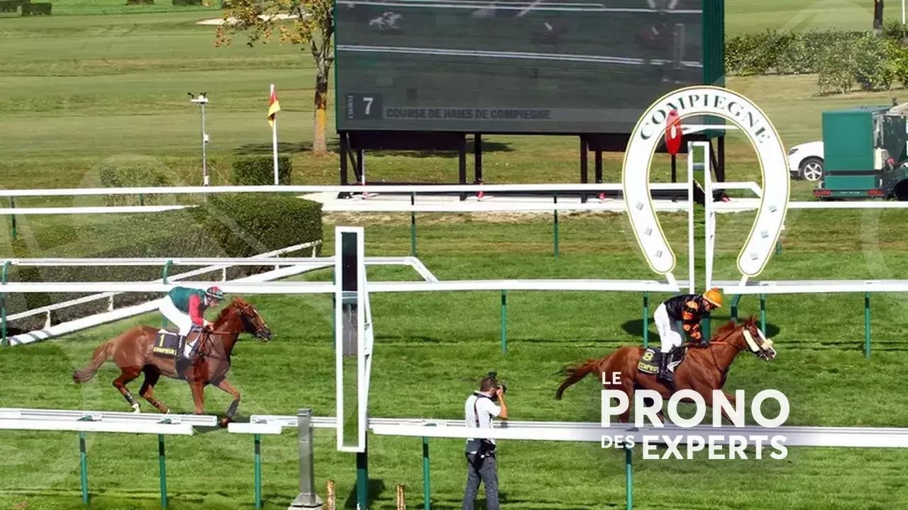Les pronostics des experts pour la réunion 1 à COMPIEGNE ce mardi 26 septembre | Equidia