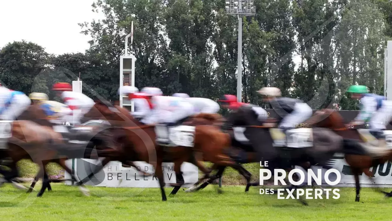 Les pronostics des experts pour la réunion 1 à VICHY ce mardi 16 juillet | Equidia