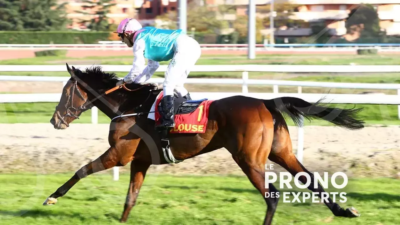 Les Pronostics Des Experts Pour La Réunion 1 à Toulouse Ce Samedi 11