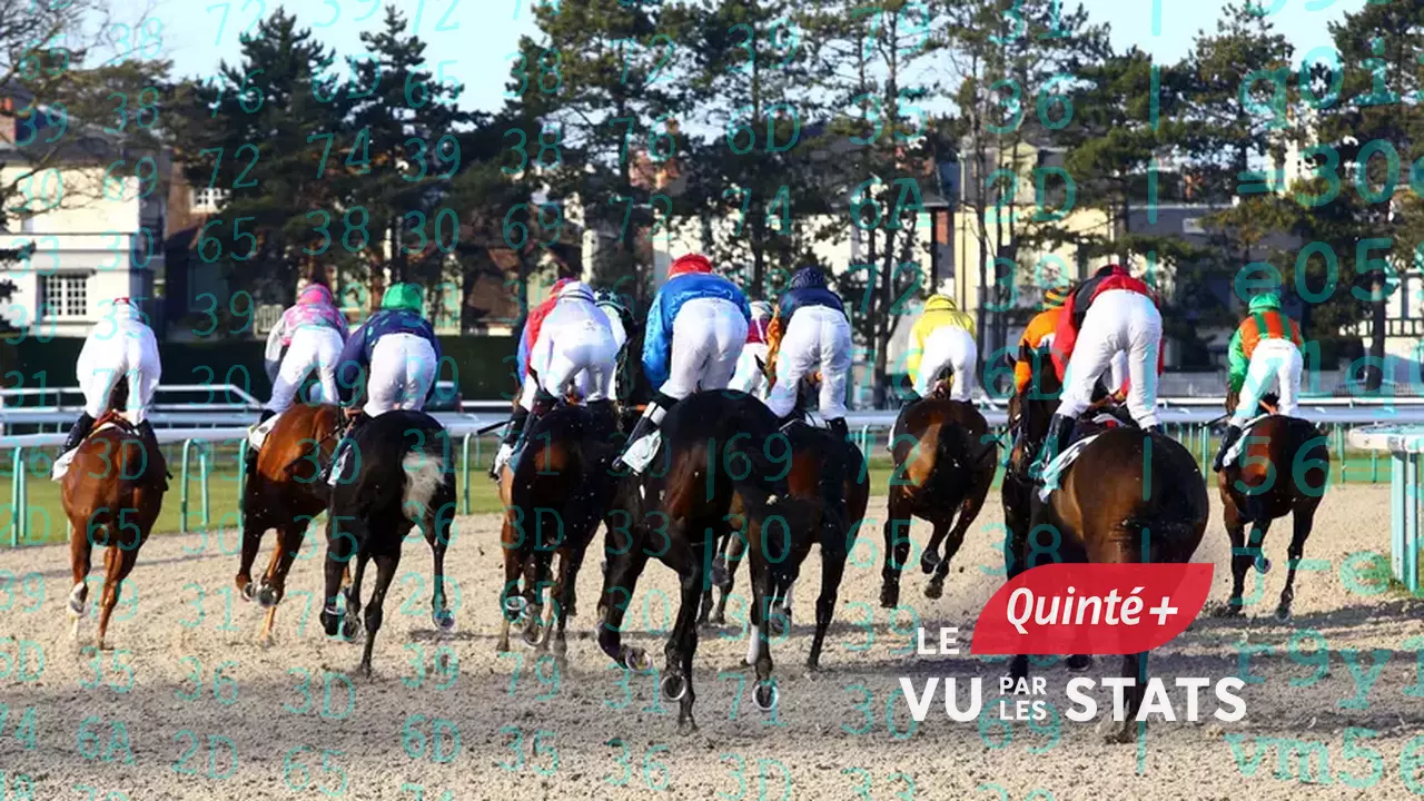 Quinté Le Quinté Du Mardi 30 Juillet Vu Par Les Statistiques Equidia