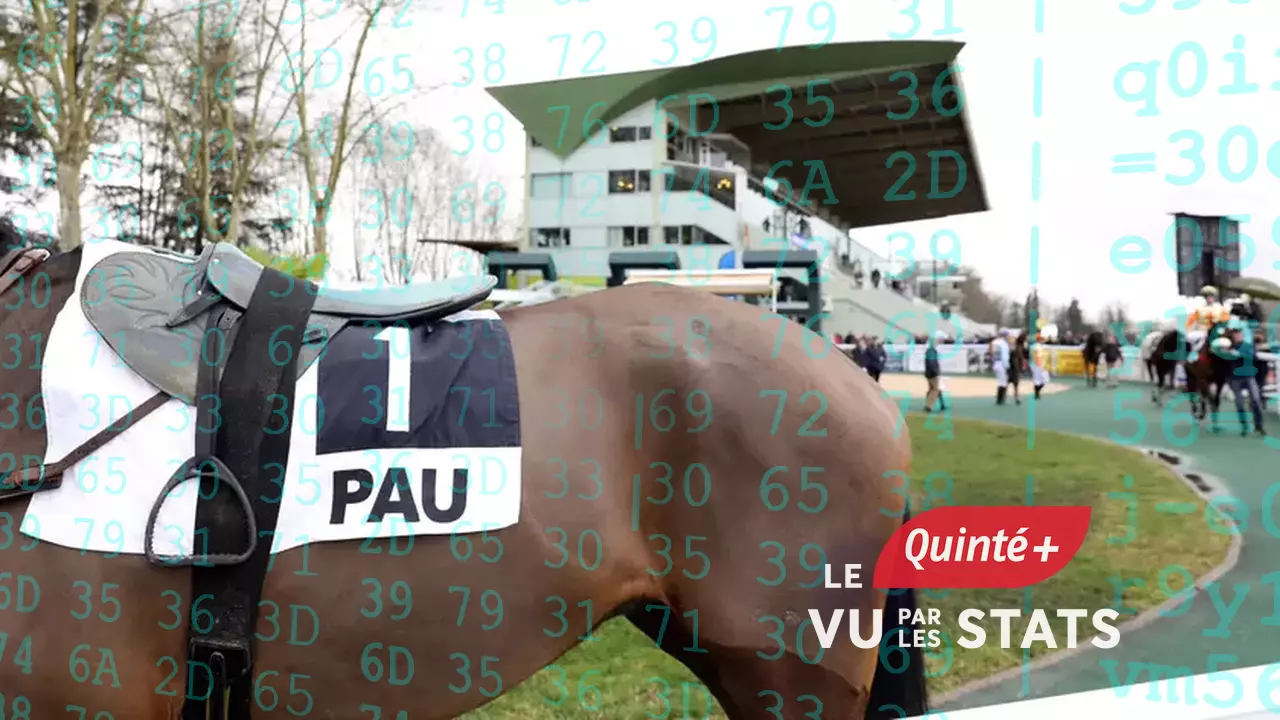 Quinté+: Le Quinté+ du mercredi 8 janvier vu par les statistiques | Equidia