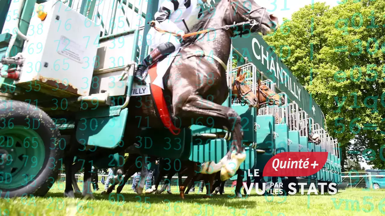 Quinté Le Quinté Du Lundi 29 Avril Vu Par Les Statistiques Equidia