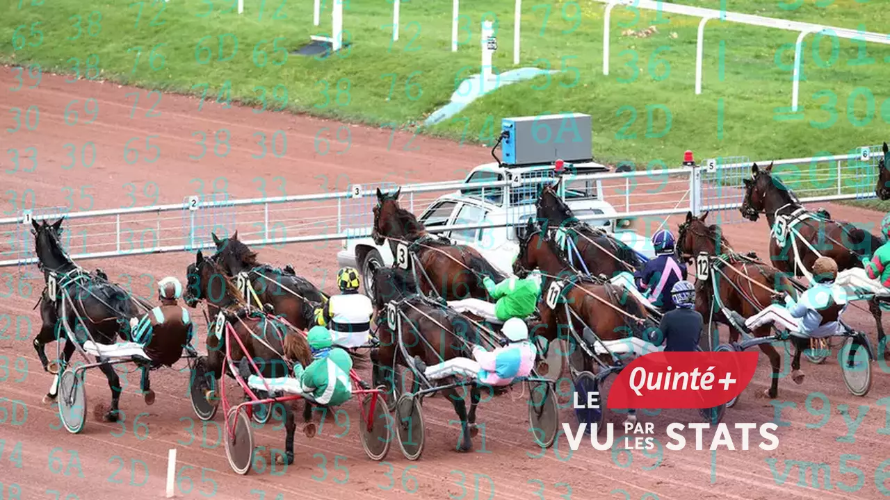 Quinté Le Quinté Du Mercredi 10 Juillet Vu Par Les Statistiques