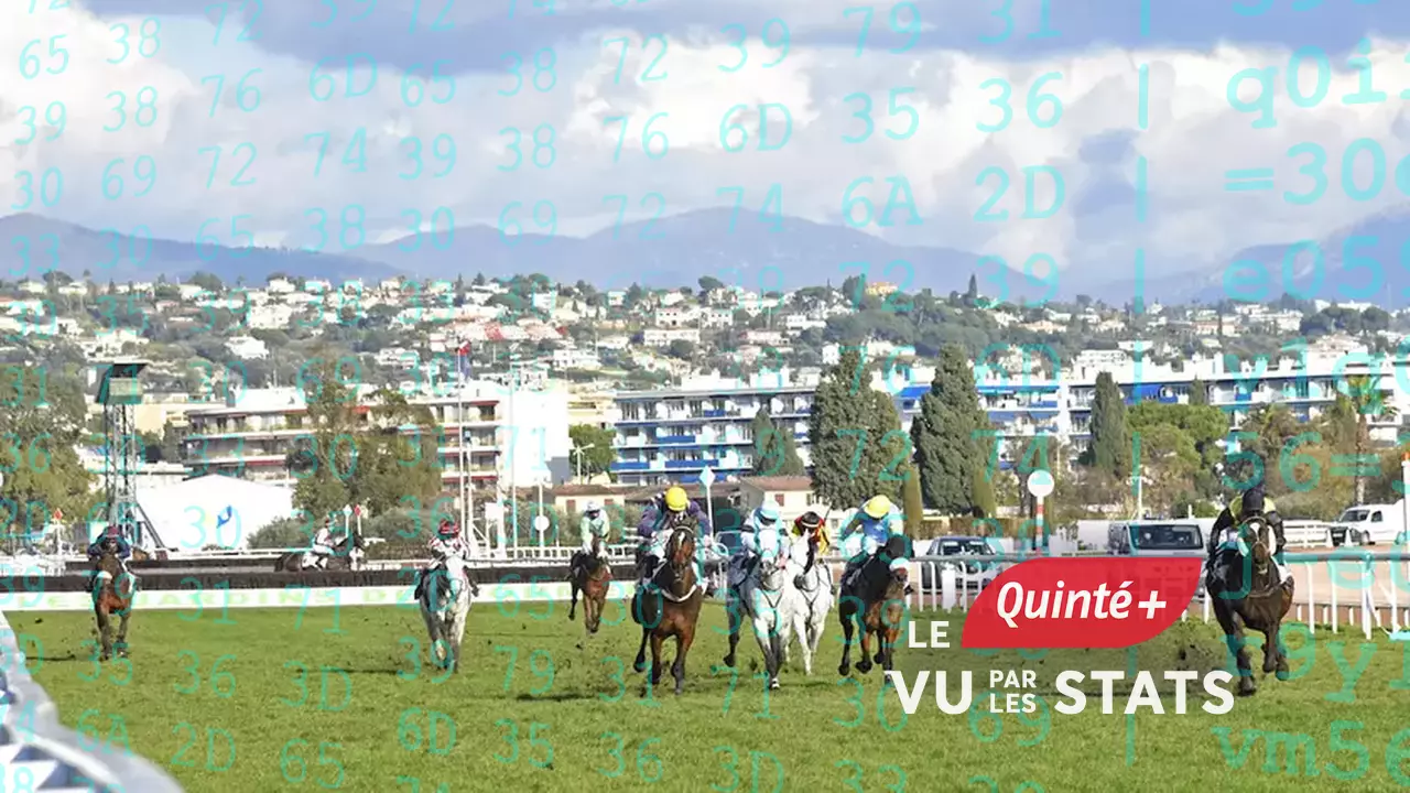 Quinté+: Le Quinté+ du lundi 18 décembre vu par les statistiques | Equidia