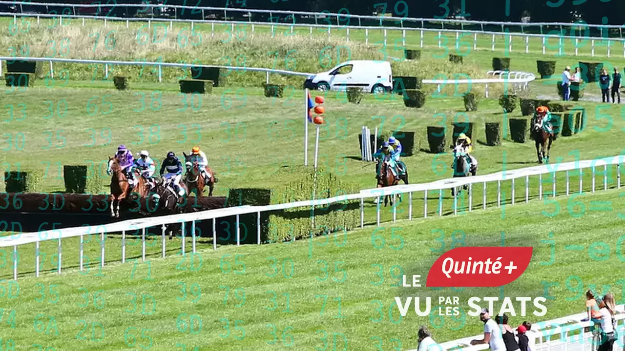 Quinté Le Quinté Du Jeudi 25 Juillet Vu Par Les Statistiques Equidia