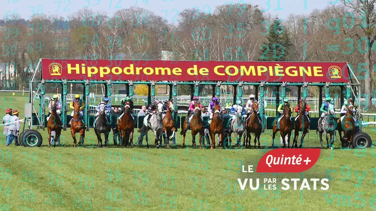 Quinté+: Le Quinté+ du lundi 18 septembre vu par les statistiques | Equidia