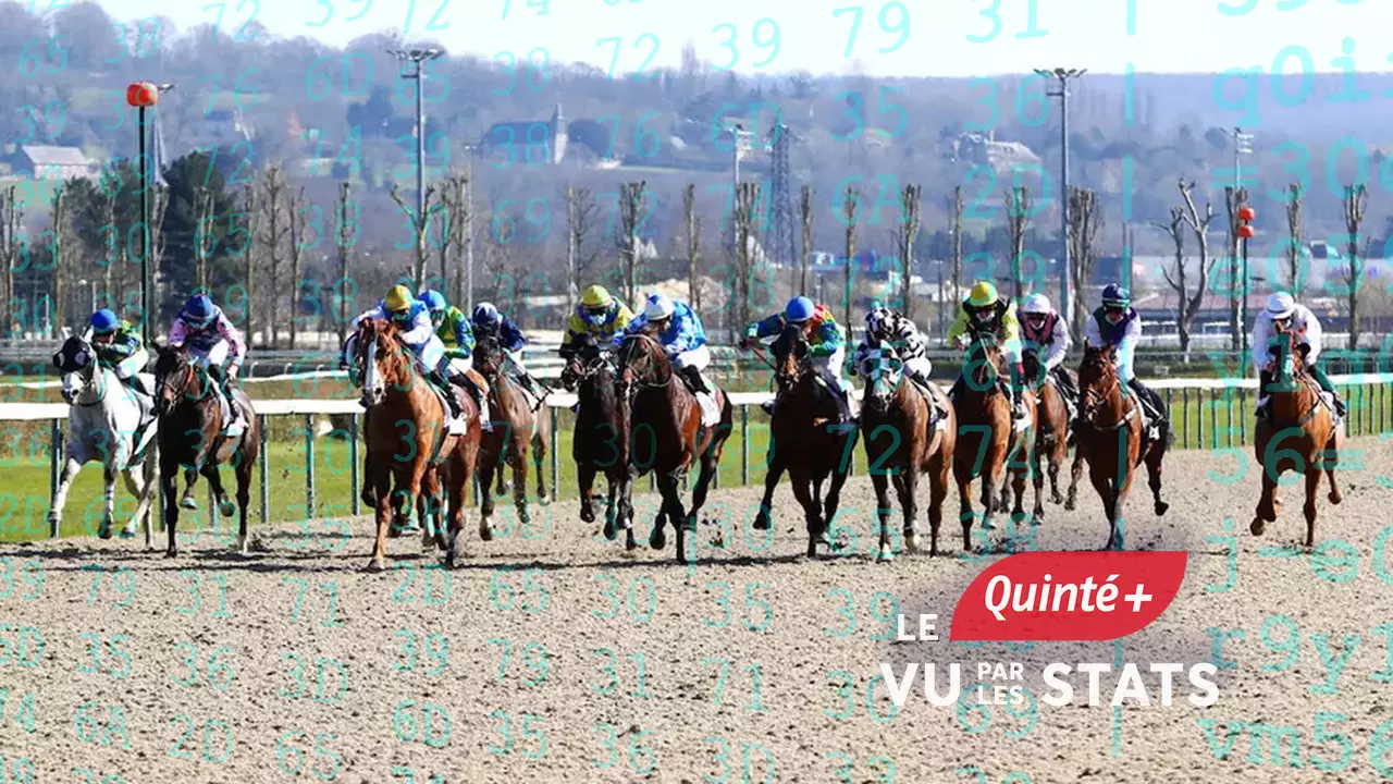 Le Quinté Du Dimanche 18 Août Vu Par Les Statistiques Equidia