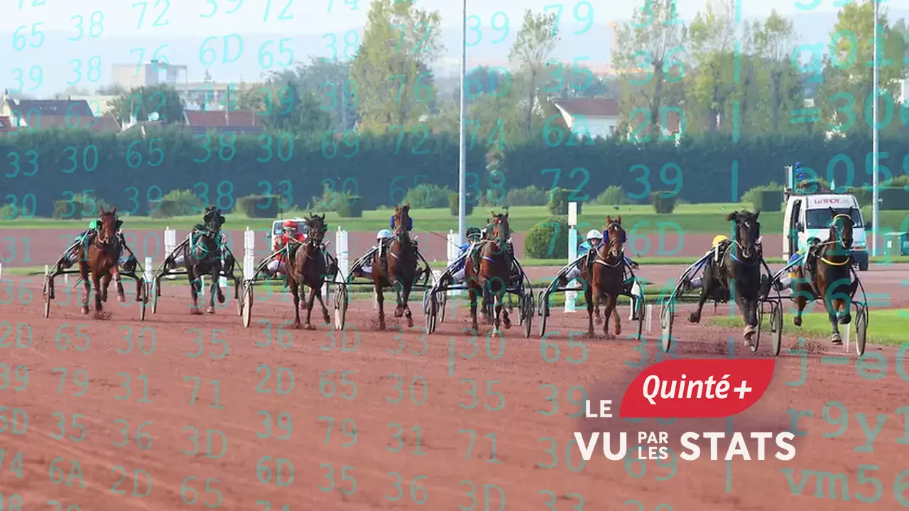 Quinté Le Quinté Du Samedi 27 Juillet Vu Par Les Statistiques Equidia