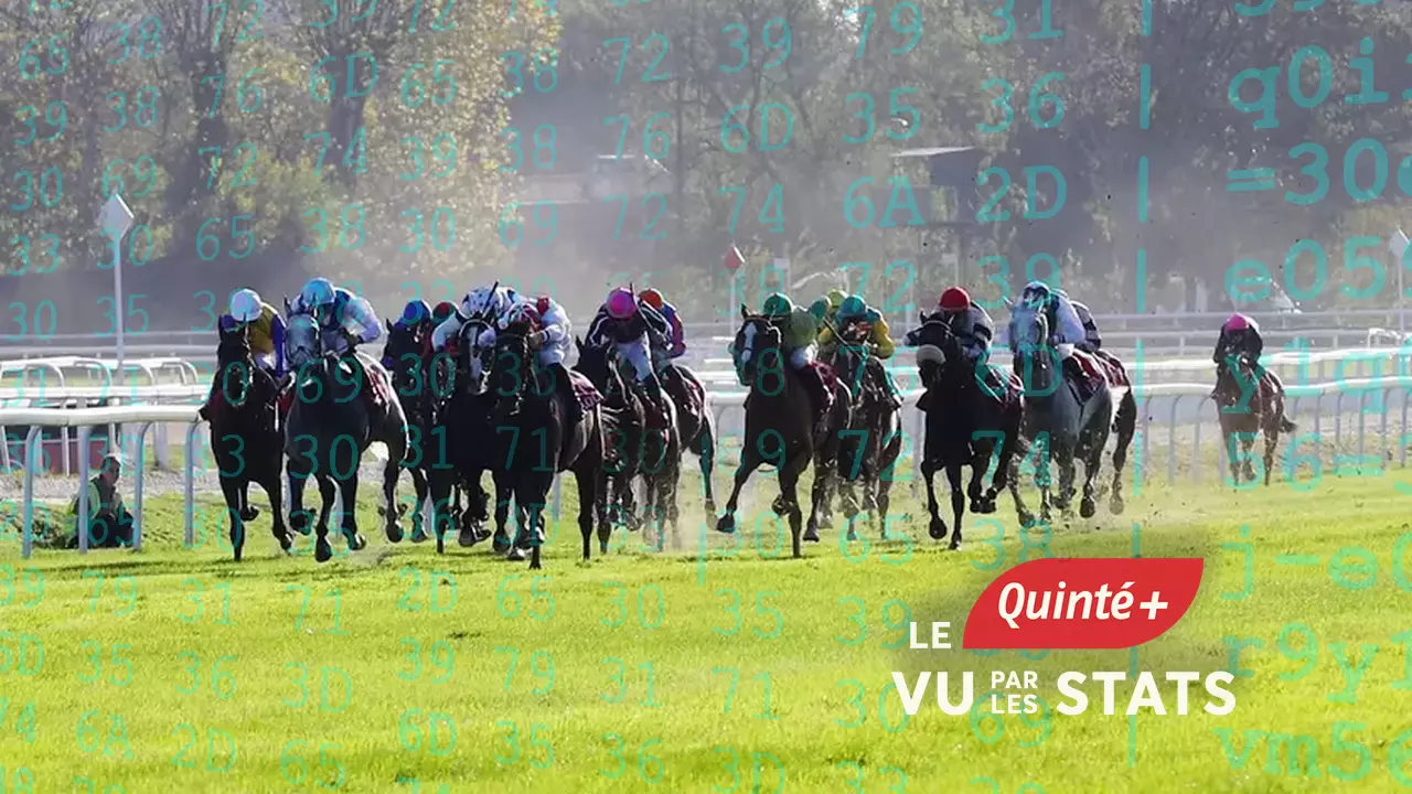 Quinté Le Quinté Du Samedi 11 Novembre Vu Par Les Statistiques Equidia