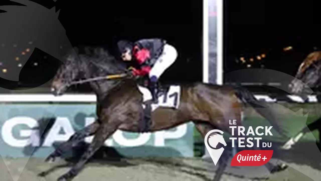 Quinté Equidia Met Le Feu Au Quinté Du Lundi 19 Février à Vincennes