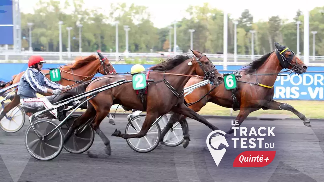 Quinté+: Track Test Quinté+ du vendredi 27 octobre à Vincennes : Cocis ...