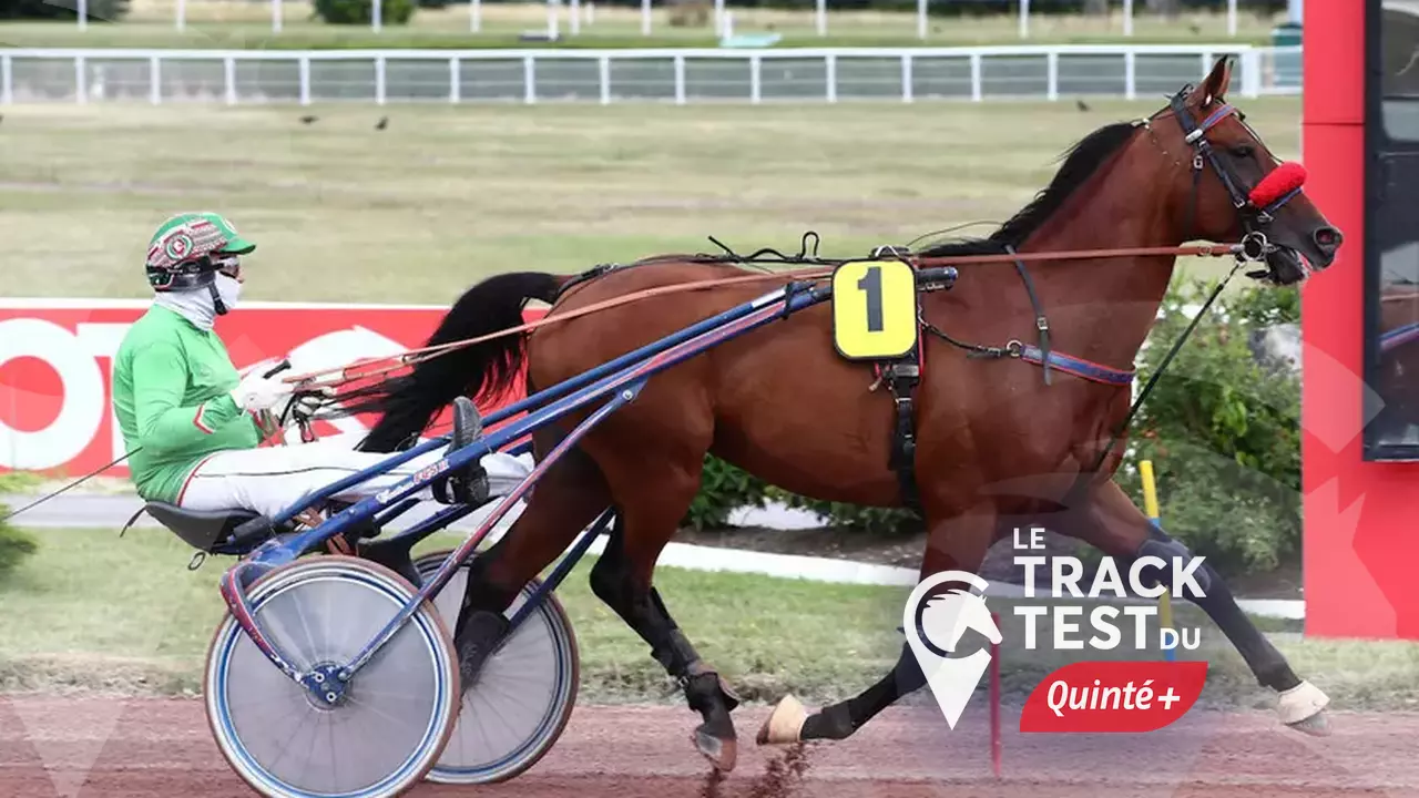 Quinté+: Track Test Quinté+ du samedi 9 septembre à Vincennes : Condor ...