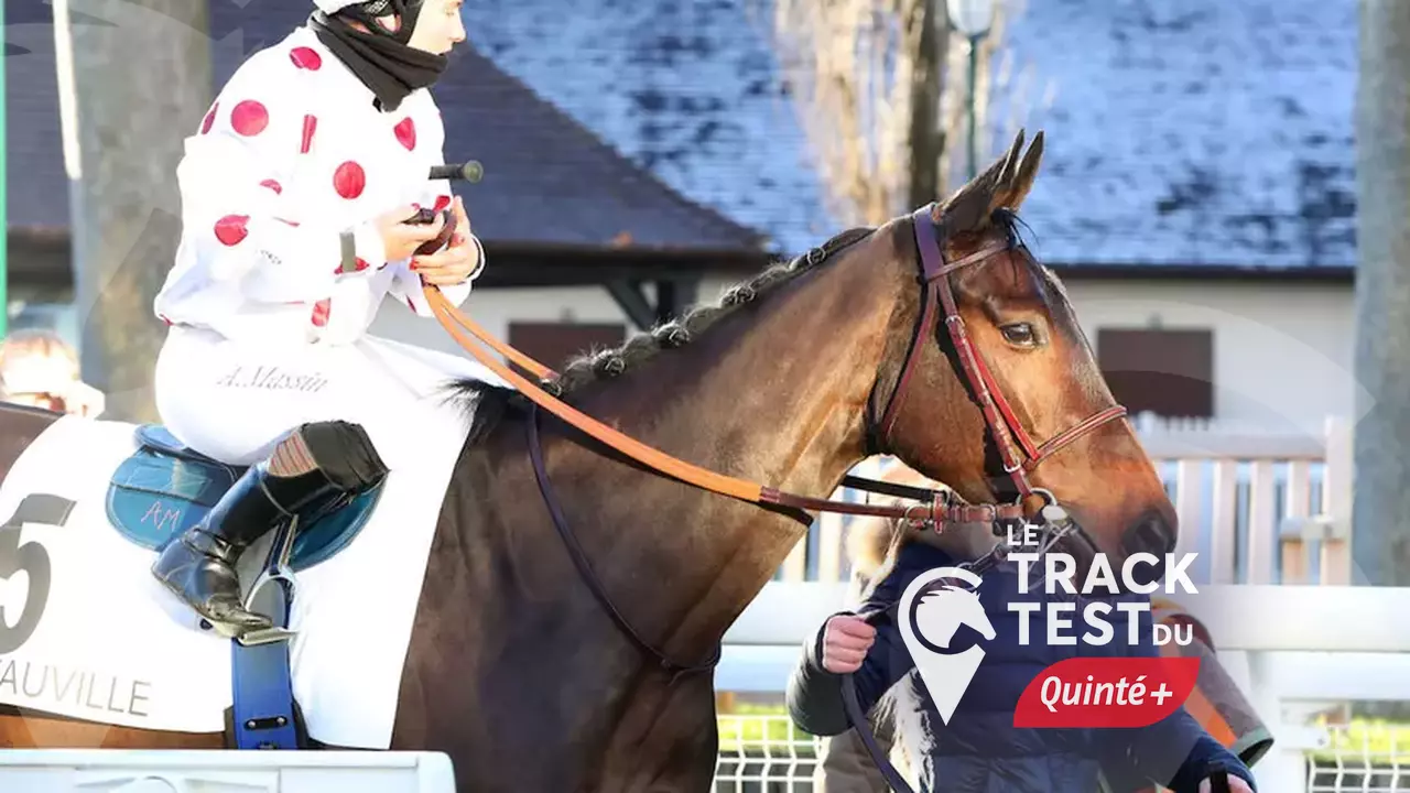 Quinté+: Track Test Quinté+ du mardi 14 novembre à Chantilly : First ...