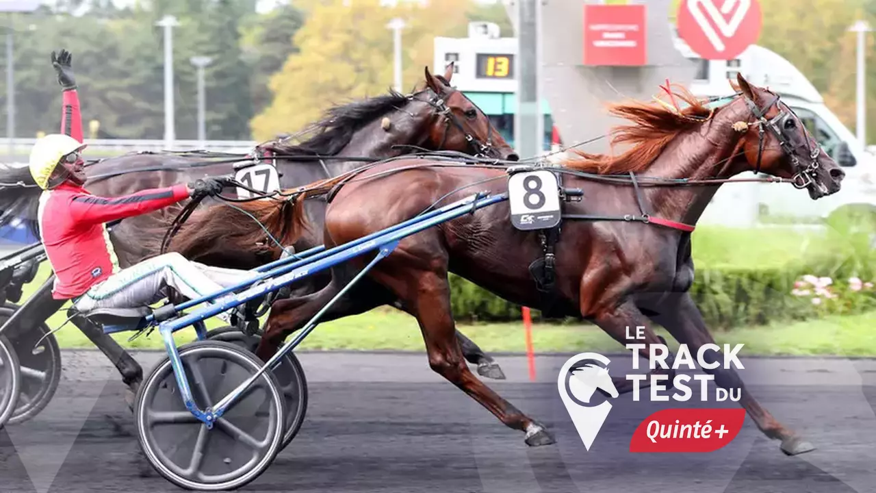 Quinté+: Track Test Quinté+ du samedi 9 décembre à Vincennes : Josh ...