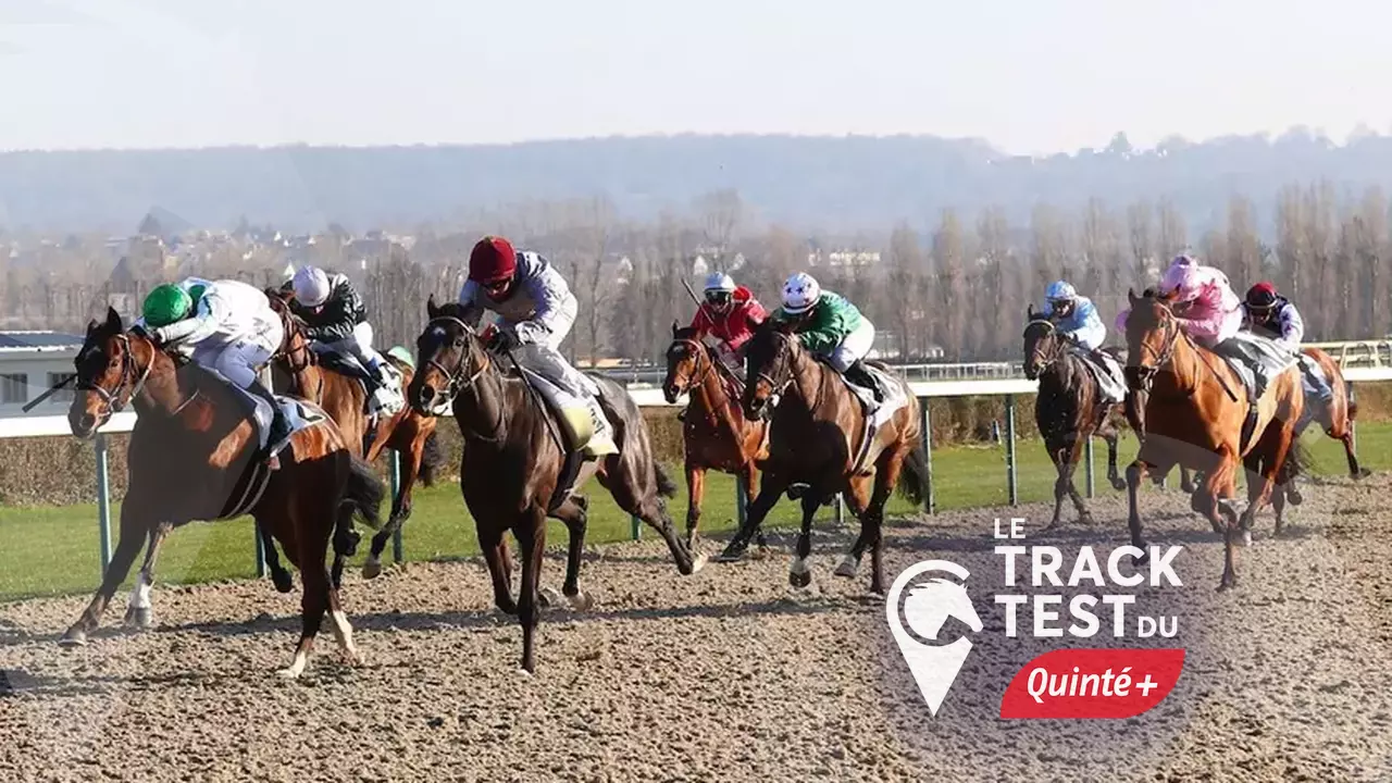 Quinté+: Track Test Quinté+ du jeudi 19 décembre à Deauville : See You ...