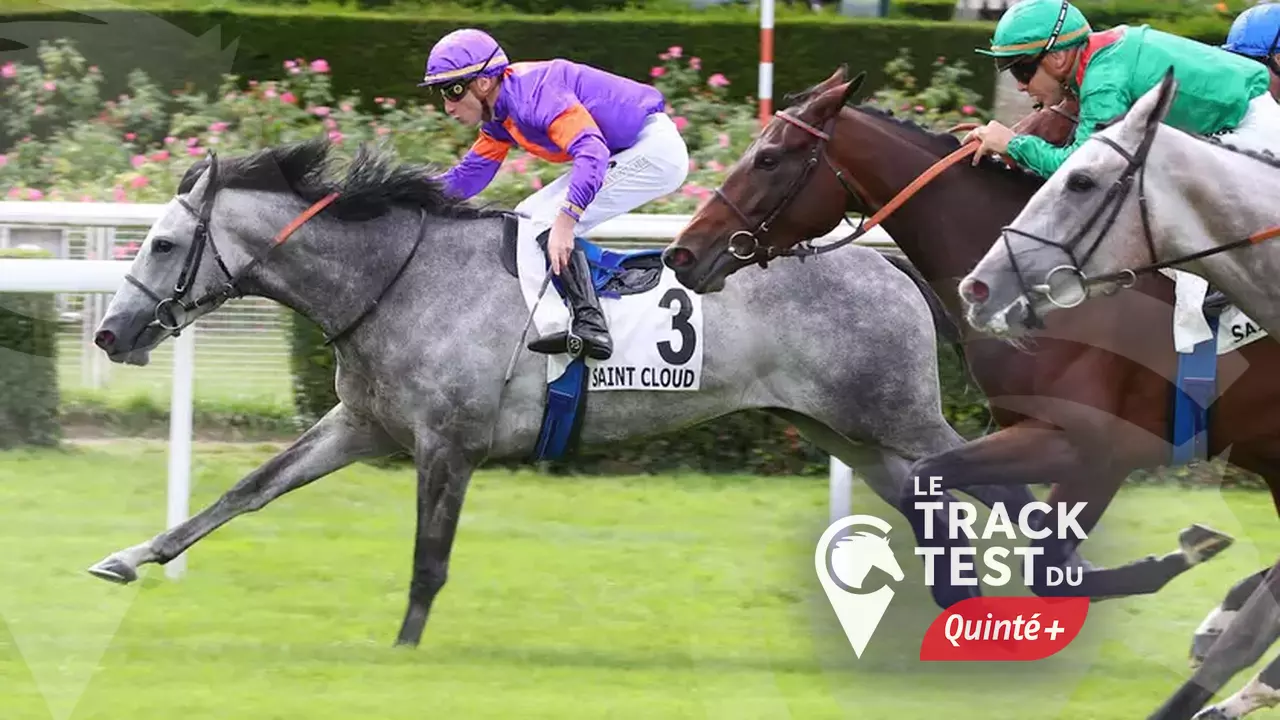 Quinté Track Test Quinté Du Samedi 22 Juin à Compiègne Presage