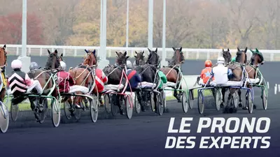 Quinté+: Arrivée et rapports du Quinté+ du jeudi 28 août à Deauville ...