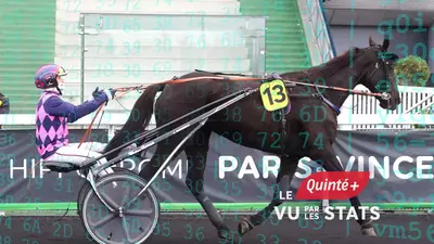 Michael Cardine Equidia